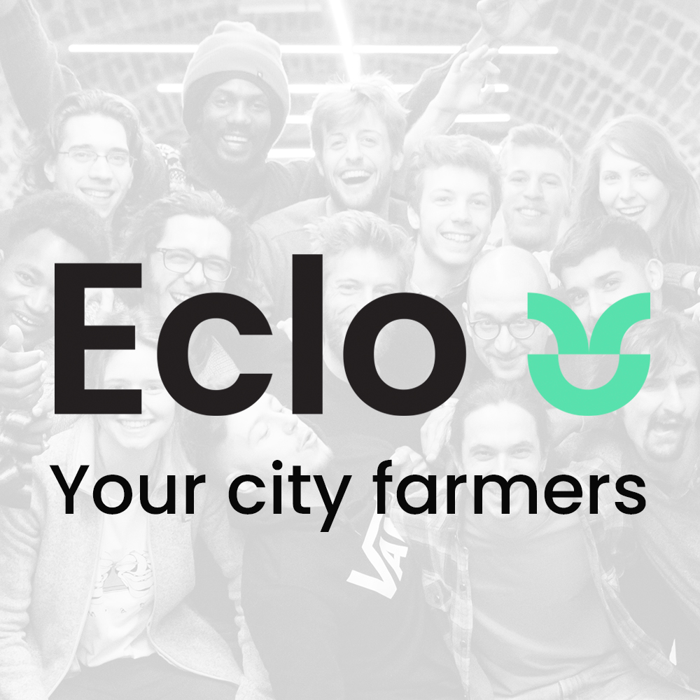 Eclo | Exotic mushroom substrates for professional growers.