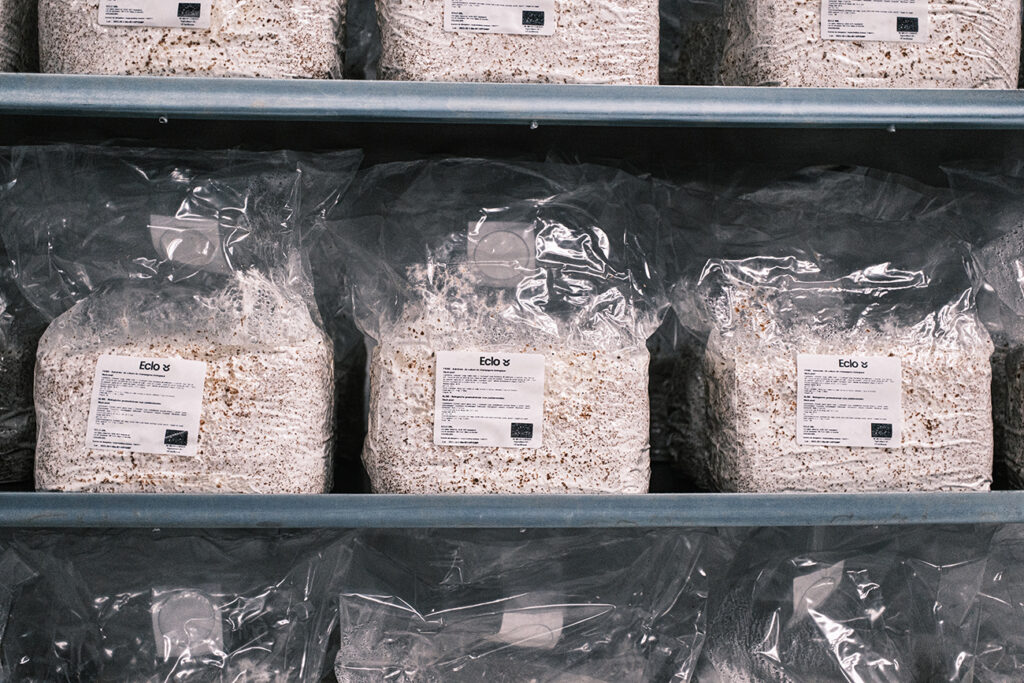 Home - Eclo | Exotic Mushrooms Substrates