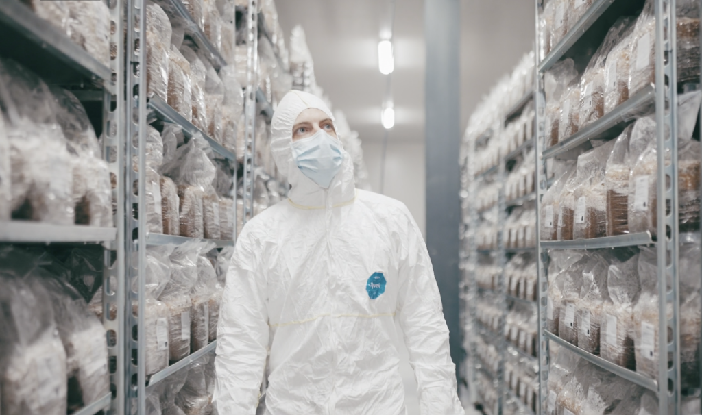 Home - Eclo | Exotic Mushrooms Substrates